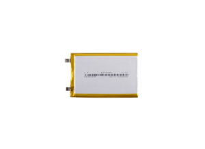 Lithium Polymer Rechargeable 5000 Mah Battery - Calcutta Electronics