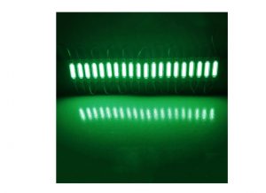 LED Injection module 12V Waterproof Green 2W - Calcutta Electronics