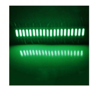 LED Injection module 12V Waterproof Green 2W - Calcutta Electronics