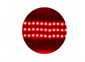 LED Injection module 12V Waterproof RED 2W - Calcutta Electronics